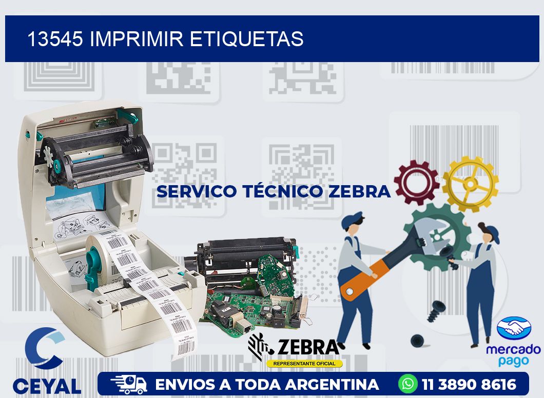 13545 IMPRIMIR ETIQUETAS | Imprimir Zebra con placa de red (ethernet)