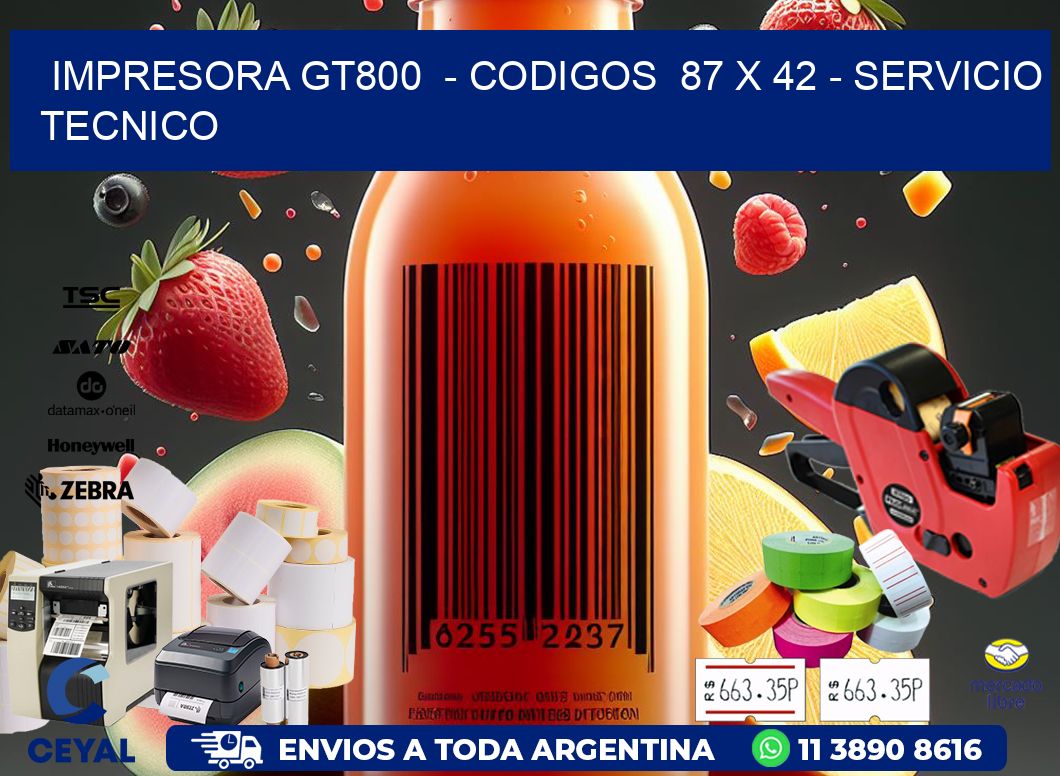 IMPRESORA GT800 – CODIGOS 87 x 42 – SERVICIO TECNICO | Imprimir Zebra con placa de red (ethernet)