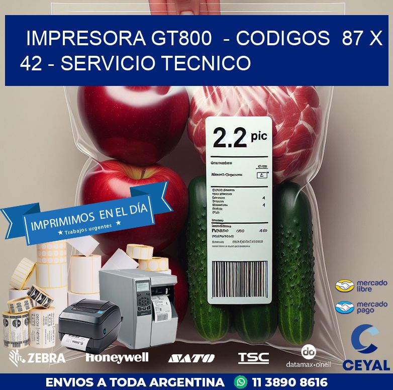 IMPRESORA GT800 – CODIGOS 87 x 42 – SERVICIO TECNICO | Imprimir Zebra ...